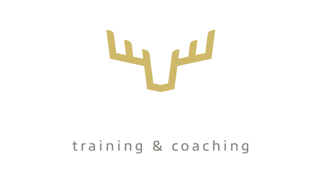 Systemisch Leiderschap - Walk in the Woods